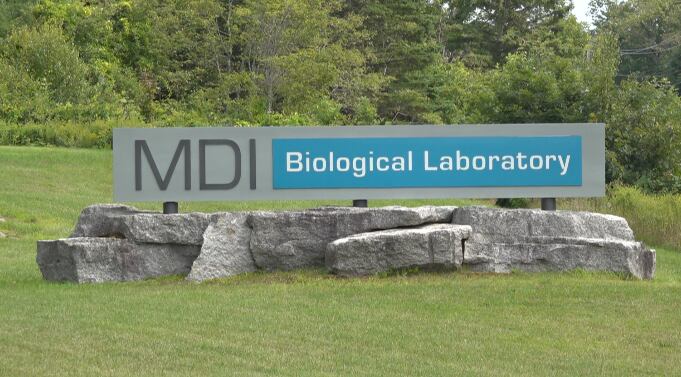 Donation allows MDI Biological Laboratory to establish first endowed ...