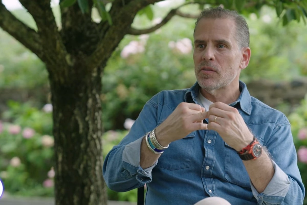 Trump’s best hope to cool down Epstein fury may be for Hunter Biden to ...