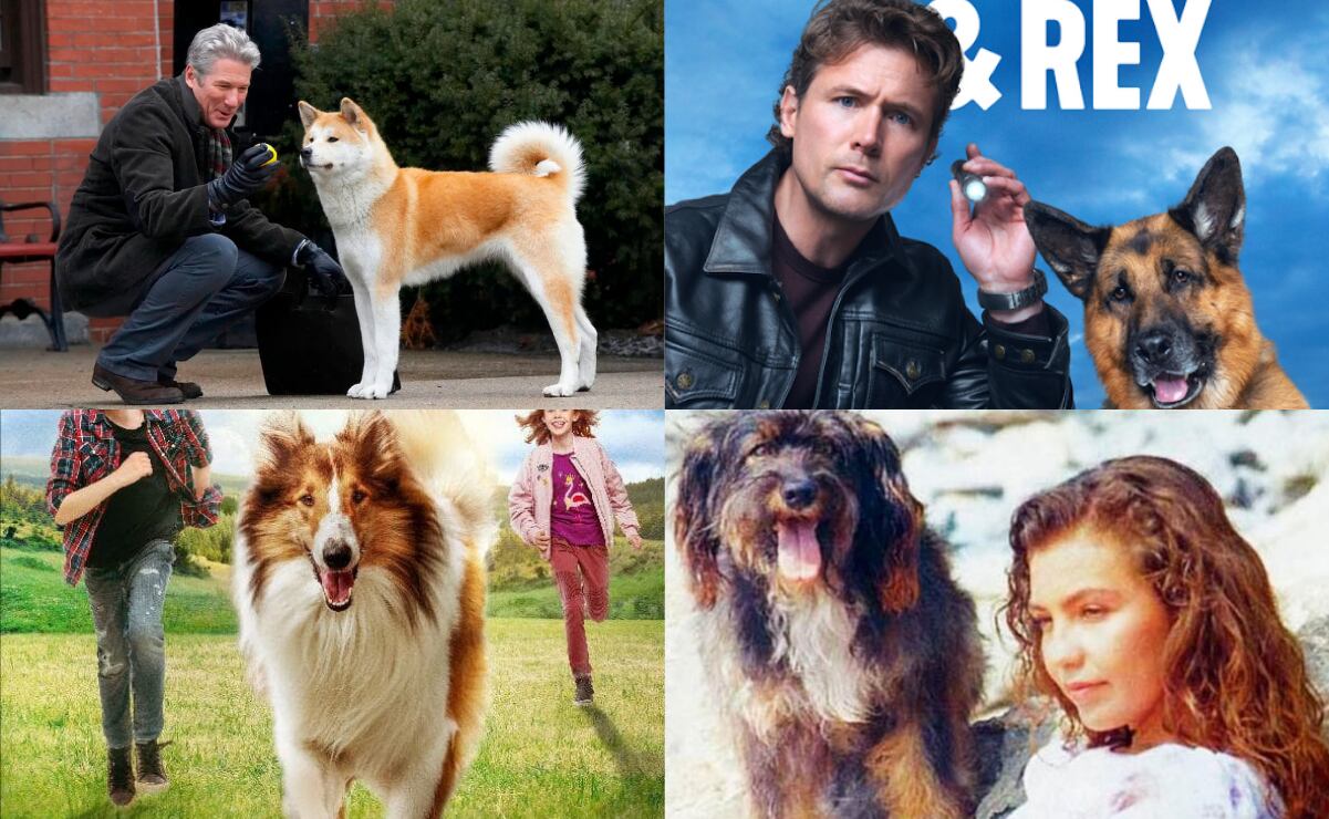 Día Mundial del Perro 2025: los 9 caninos más icónicos de la TV, según ...
