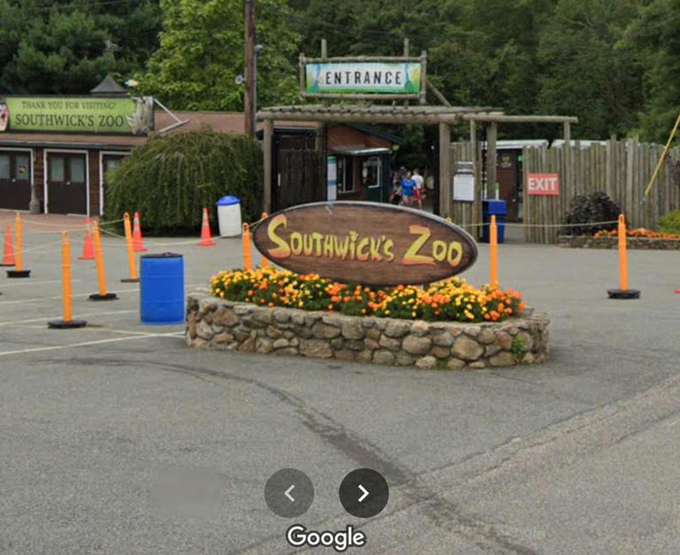 It’s A Bird! It’s A Plane! Nope, It’s A Stuck Mass Zoo Ride That Left ...