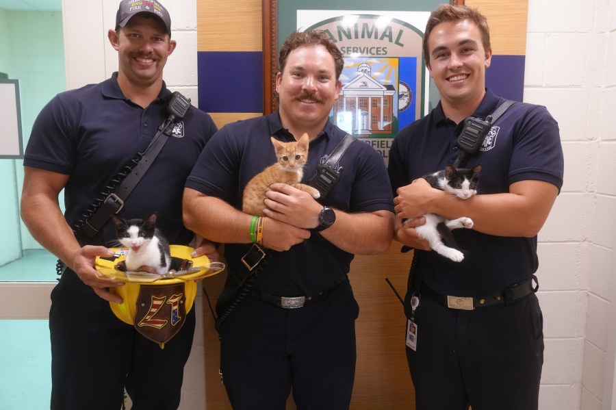 PHOTOS: Chesterfield firefighters help kittens find fur-ever homes