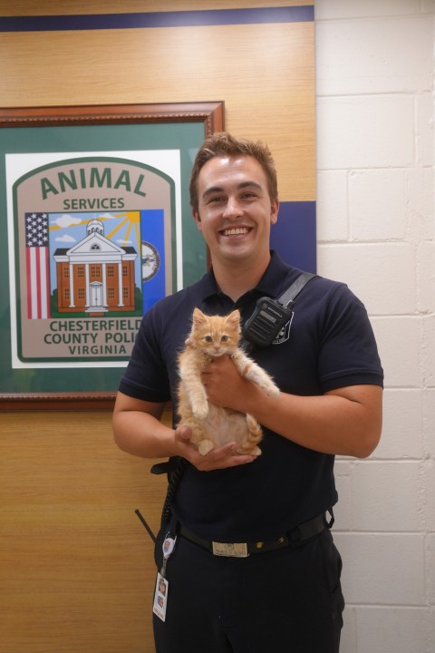 PHOTOS: Chesterfield firefighters help kittens find fur-ever homes