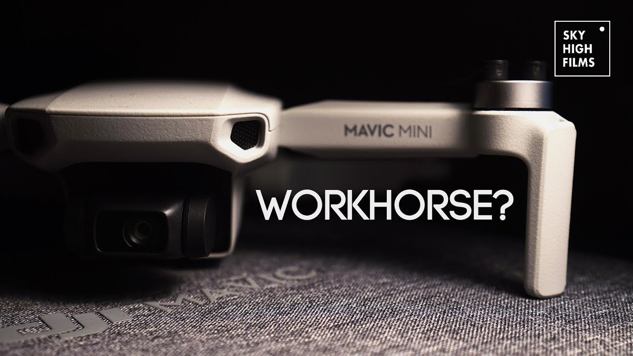 Is the Mavic Mini a True Workhorse Drone?