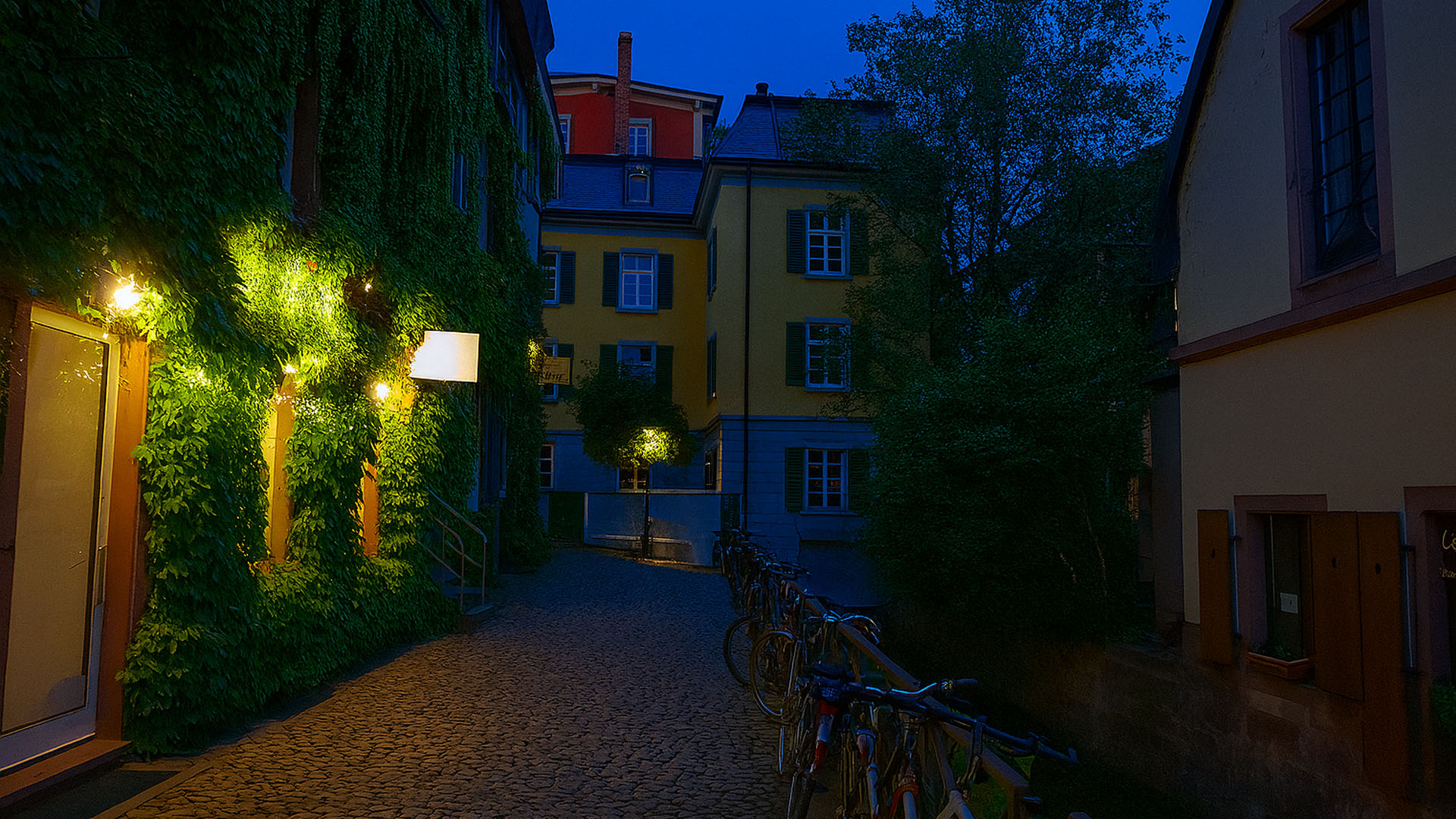 Freiburg im Breisgau – Passeggiata Serale Attraverso il Centro Storico ...