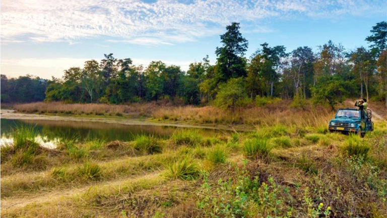 6 Must-Visit Places In India To Experience Night Safaris And ...