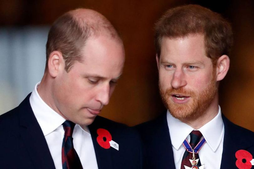 Tragic death of Prince William and Harry's cousin, 20, found with gun ...