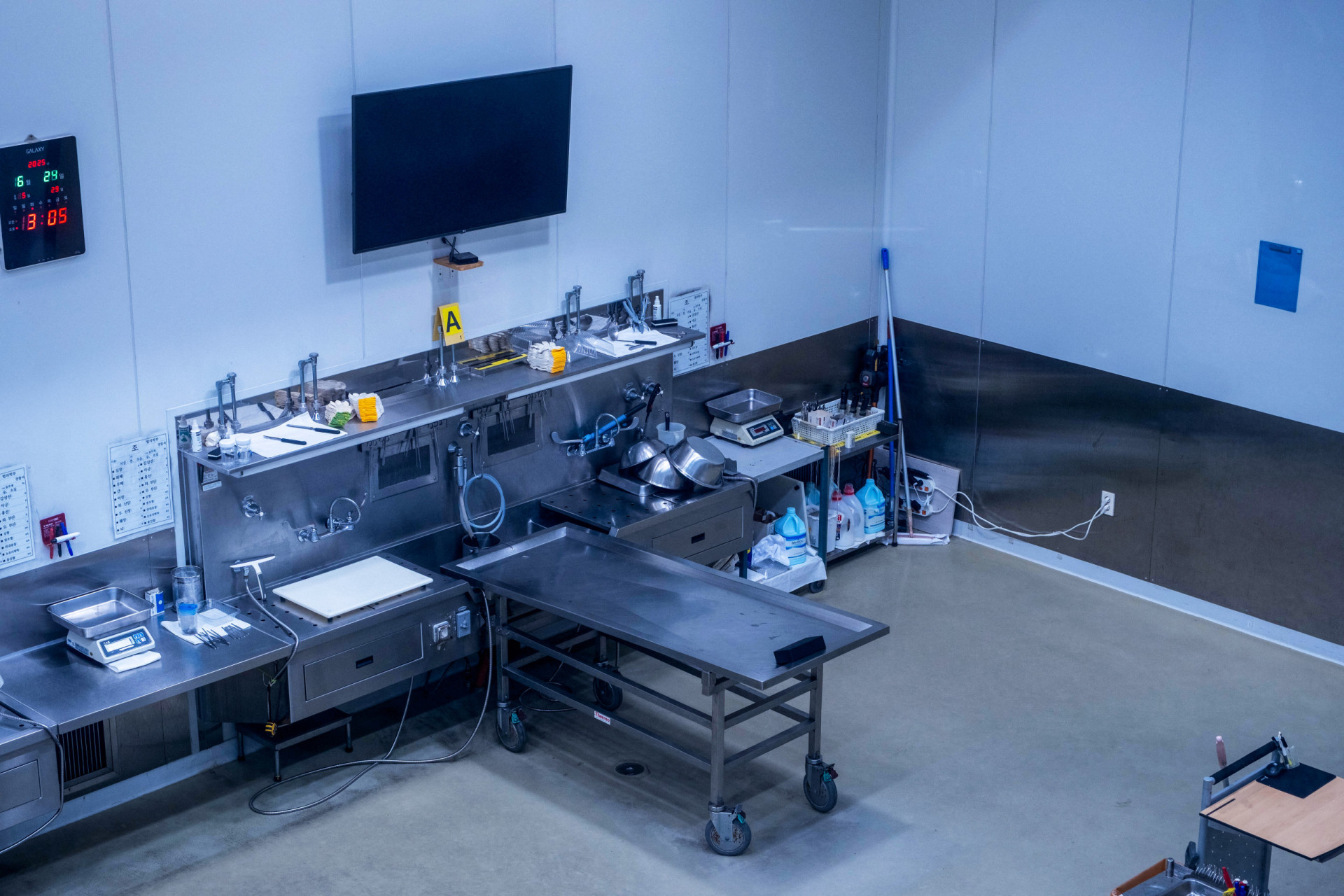 What happens during an autopsy