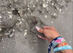 'No Freaking Way': Woman Discovers 'Ancient' Shark Tooth on Florida Beach