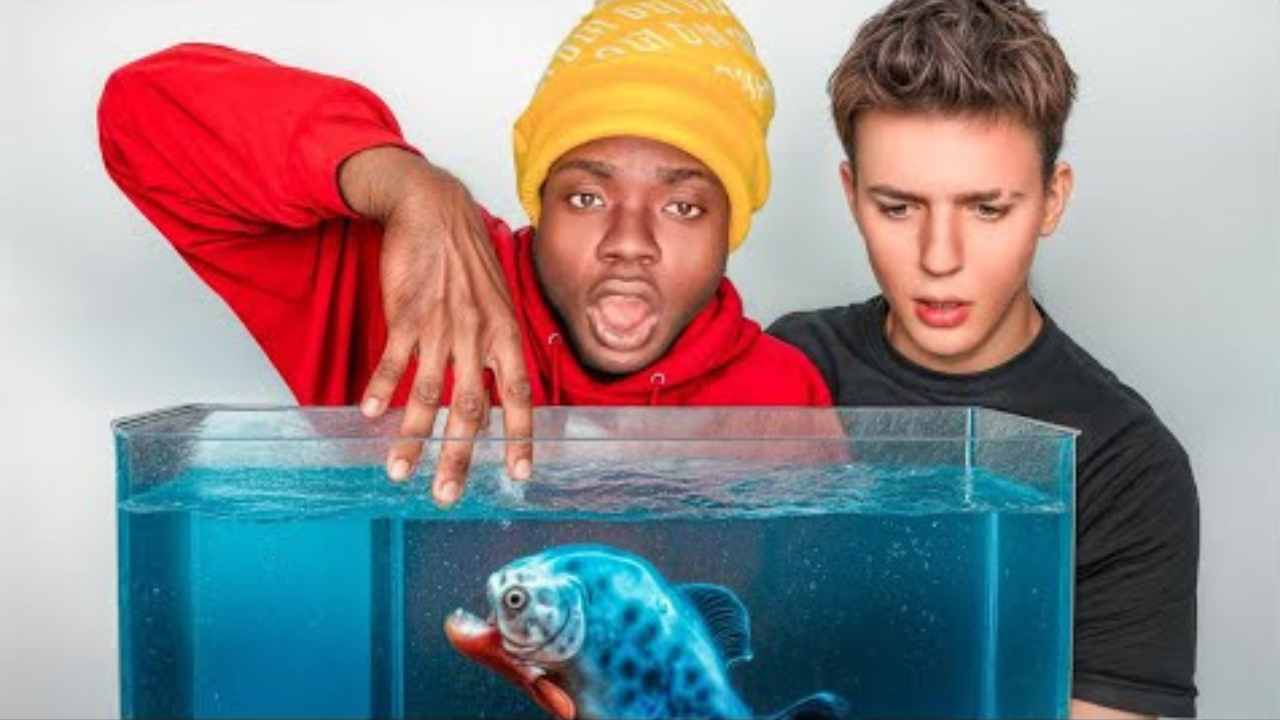 What’s In The Fish Tank?