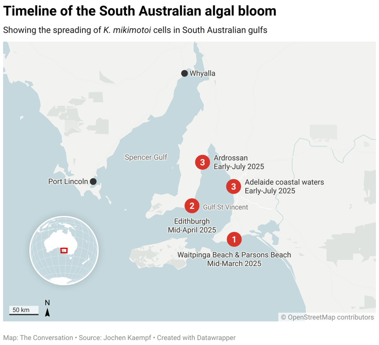 South Australia’s algal bloom may shrink over winter – but this model ...