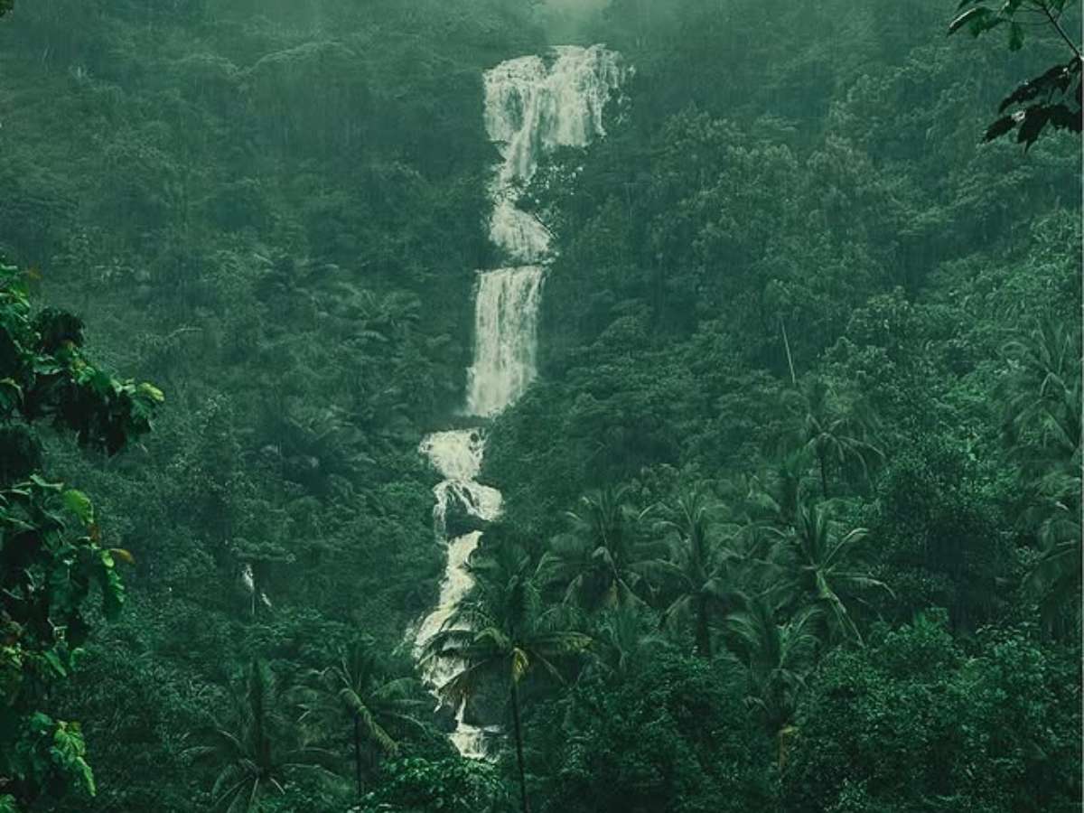 From Forts To Folklore With Hidden Wonders Of North Kerala’s Cultural ...