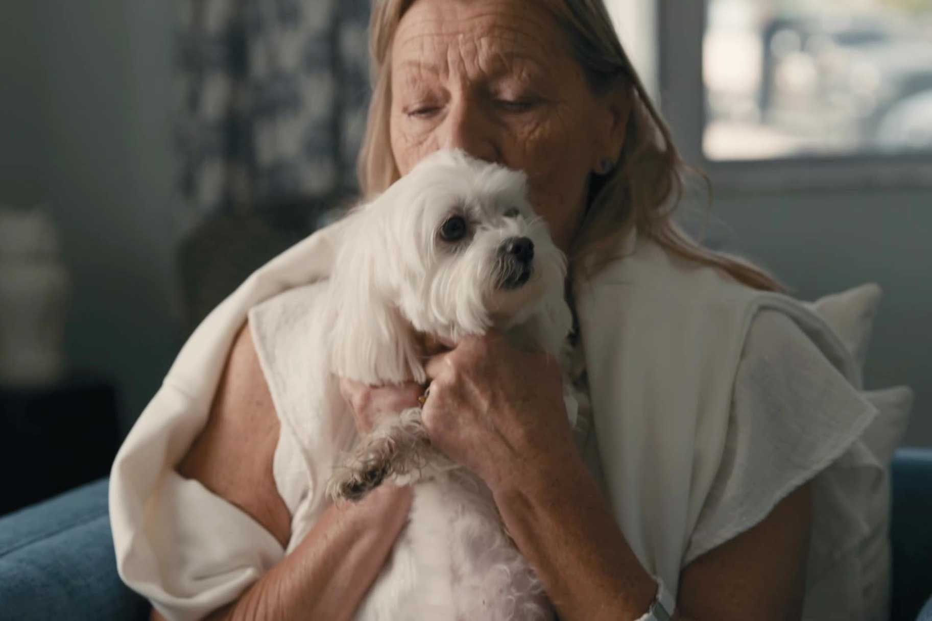 A Tiny Dog Named Lulu Survived After Being Swept Away by Hurricane Ian