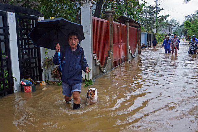 PETA urges pet owners to include animals in disaster plans amid typhoon ...