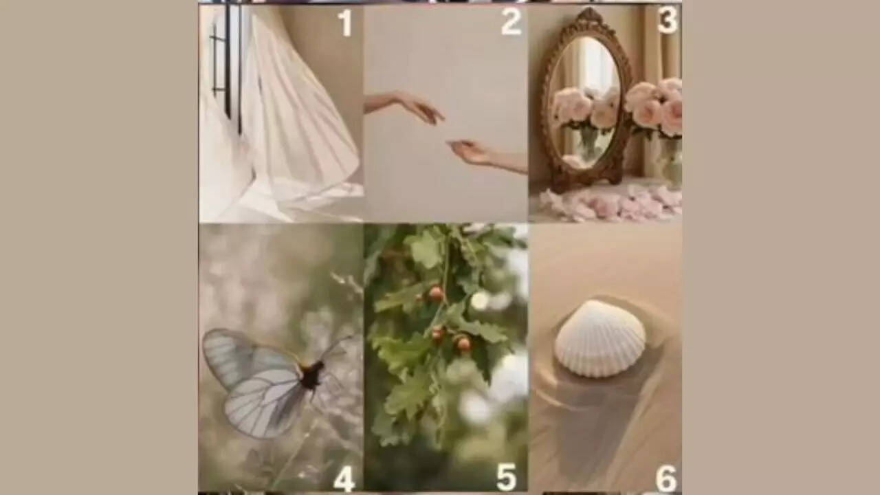Choose an image and find out your attachment type in relationships