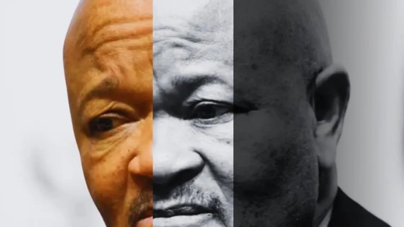 ANC to take action against Malusi Gigaba and Senzo Mchunu for public ...