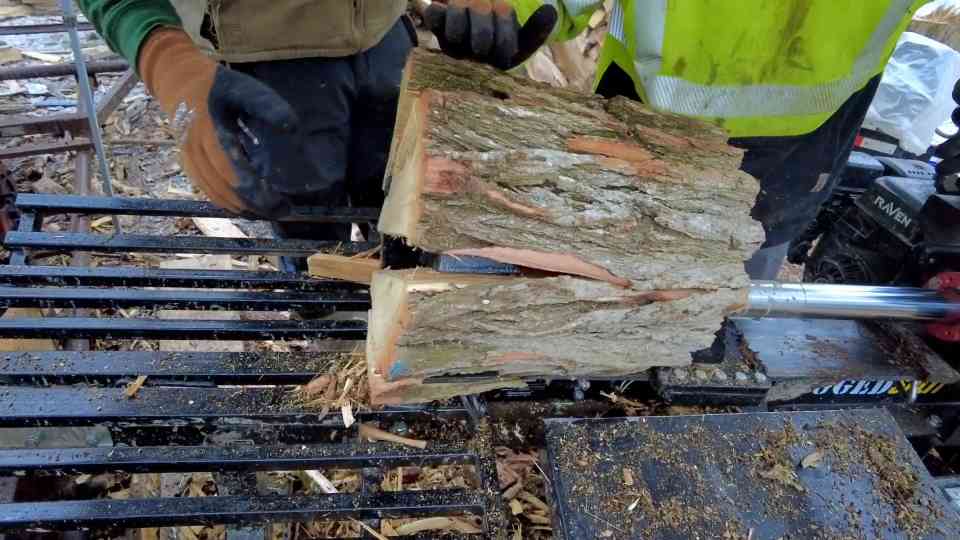Locust Firewood Review – Is It the Best Firewood for Heat?