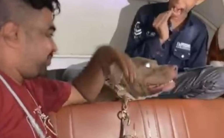 "I Was Very Scared": Minor Victim Of Deliberate Dog Bite Case In Mumbai