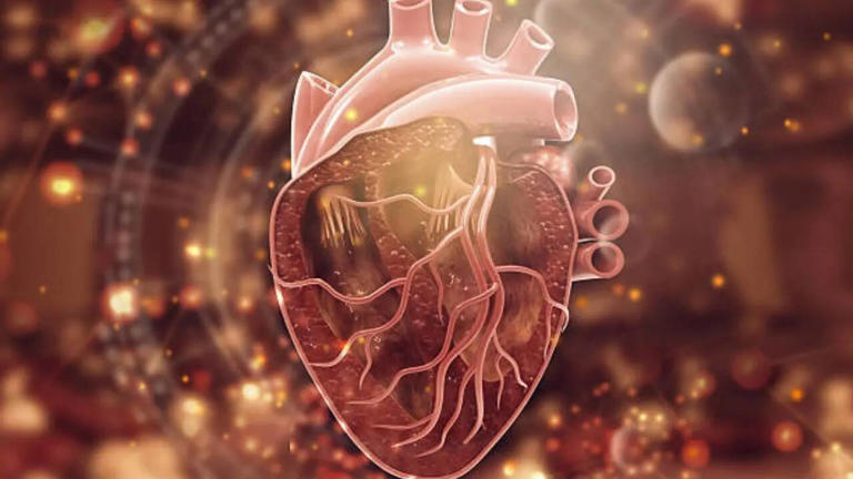 What is Heart Cancer? Is This Condition Curable?