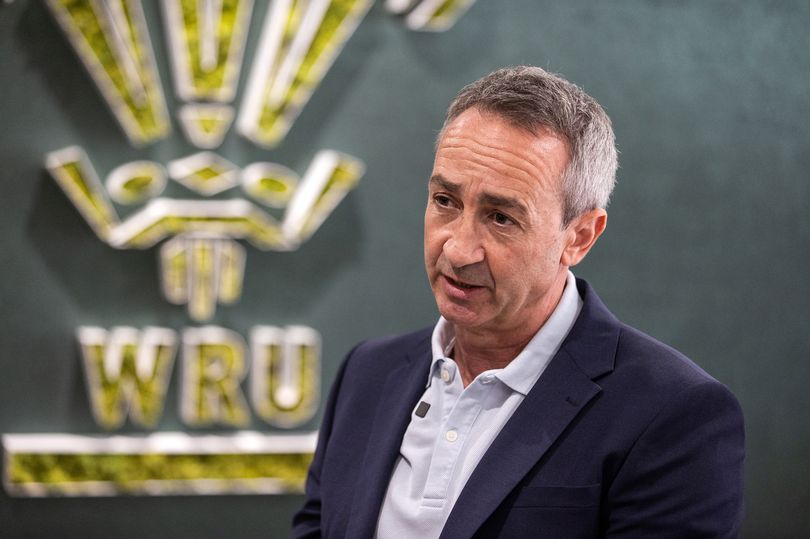 Steve Tandy won't get sole final say on backroom team as interims may ...