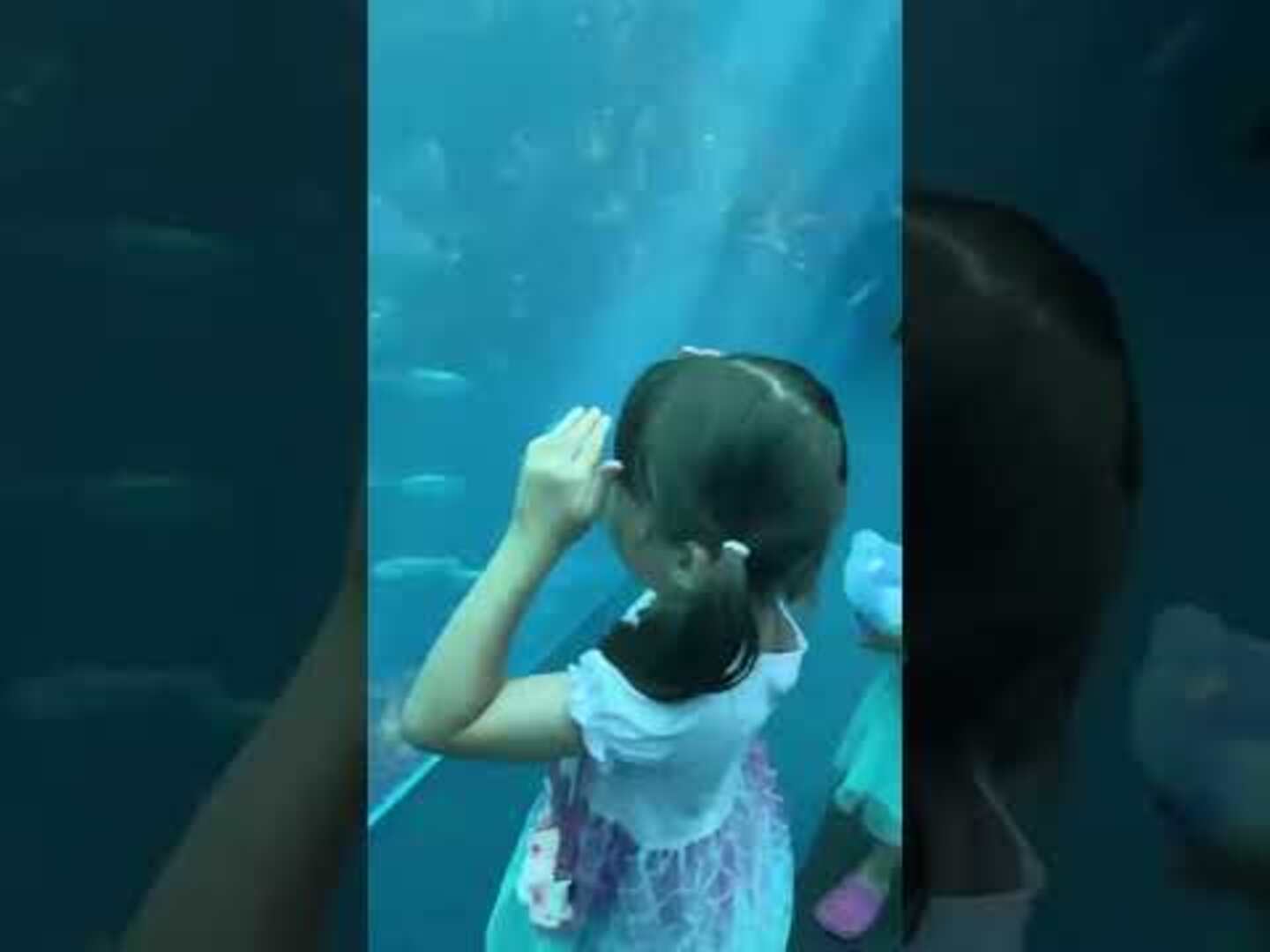 Little Girl Accidentally Hits Her Head on Aquarium's Glass Window