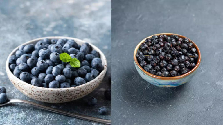 Fresh or Dried Blueberries: Which Should You Choose and Why?