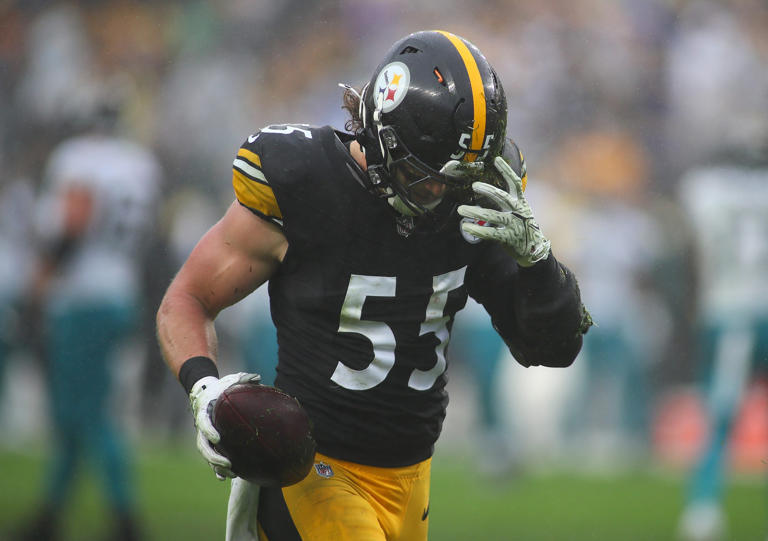 Steelers stock up/stock down for the defense after the preseason