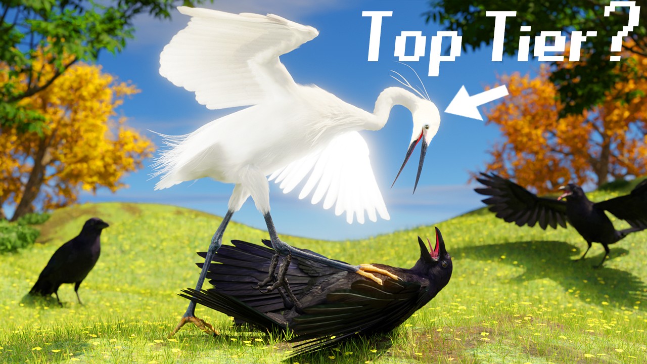 Birds Ranked from Useless to Legendary - Did Your Favorite Make the Cut?