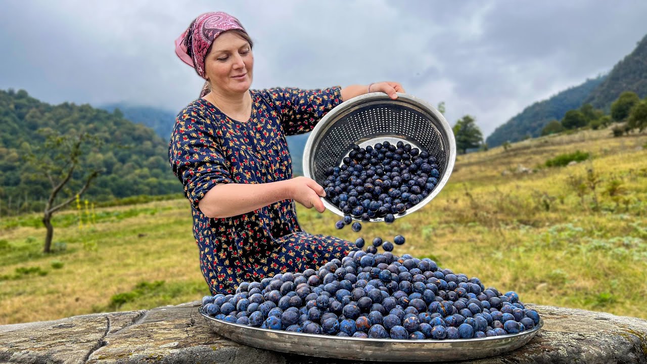 Harvesting Plums for the Family’s Winter Stock
