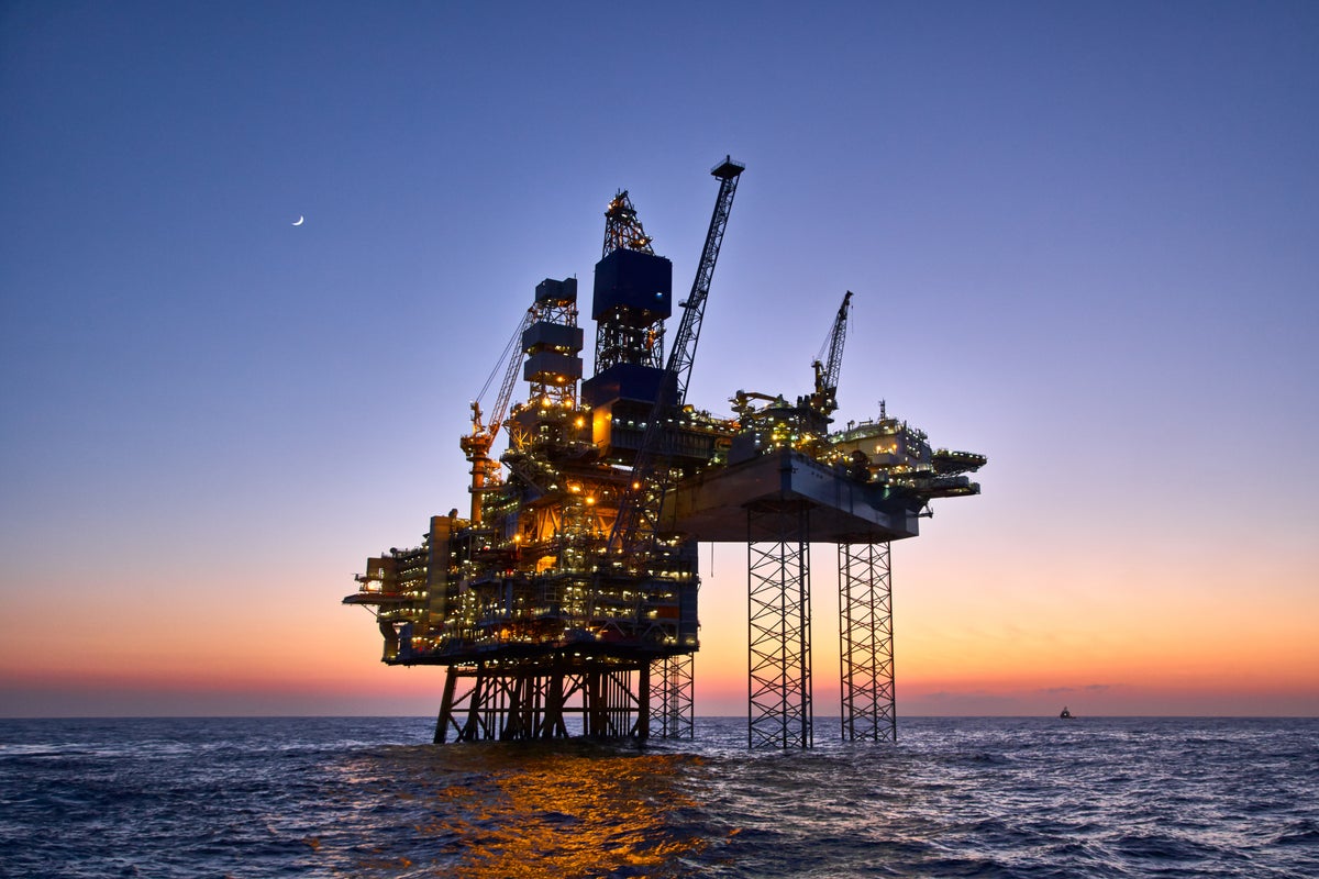 Thousands of flies landed on an oil rig in the North Sea. Scientists ...