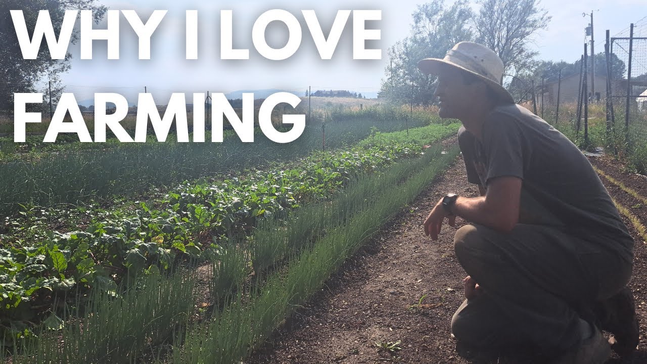 Why I Love Farming – 5 Real Reasons to Start a Farm from Someone Who ...
