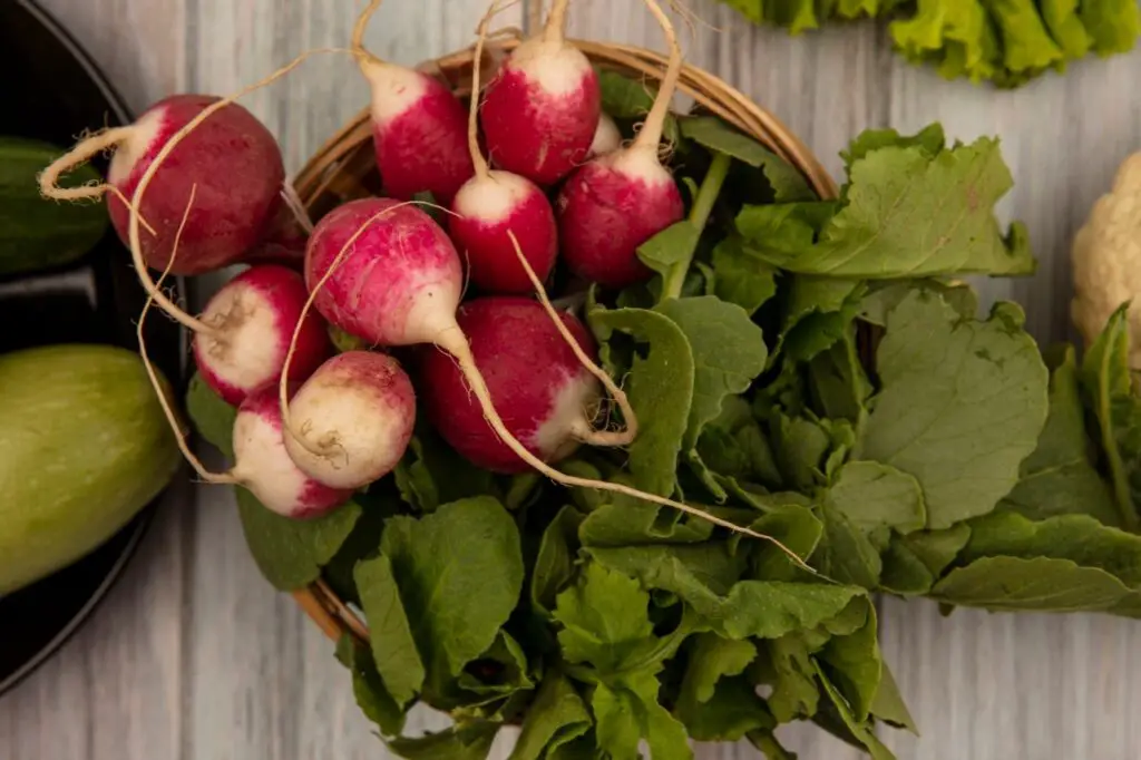 8 Perennial Vegetables That Practically Grow Themselves and Feed You for Years