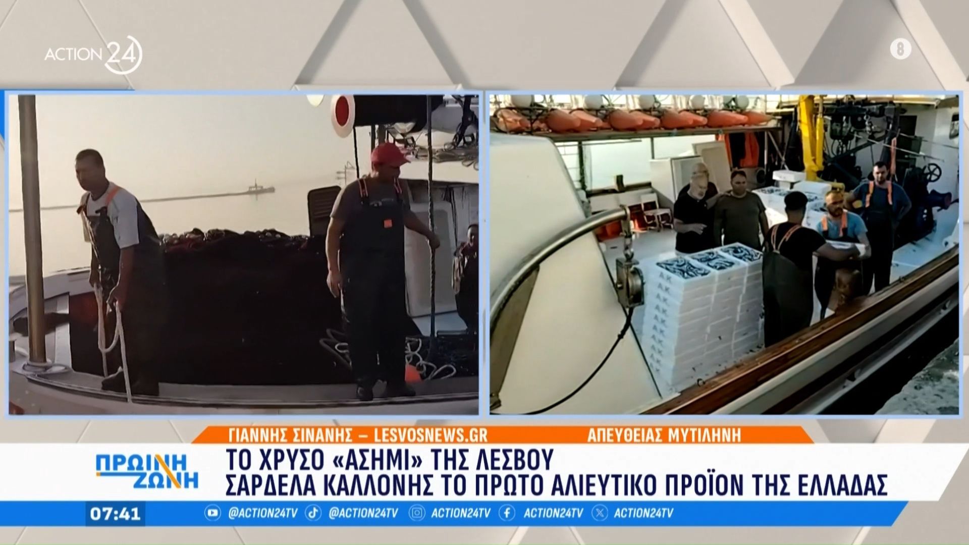Σαρδέλα Καλλονής: Δυσεύρετο το πρώτο αλιευτικό προϊόν της Ελλάδας - Σε ...