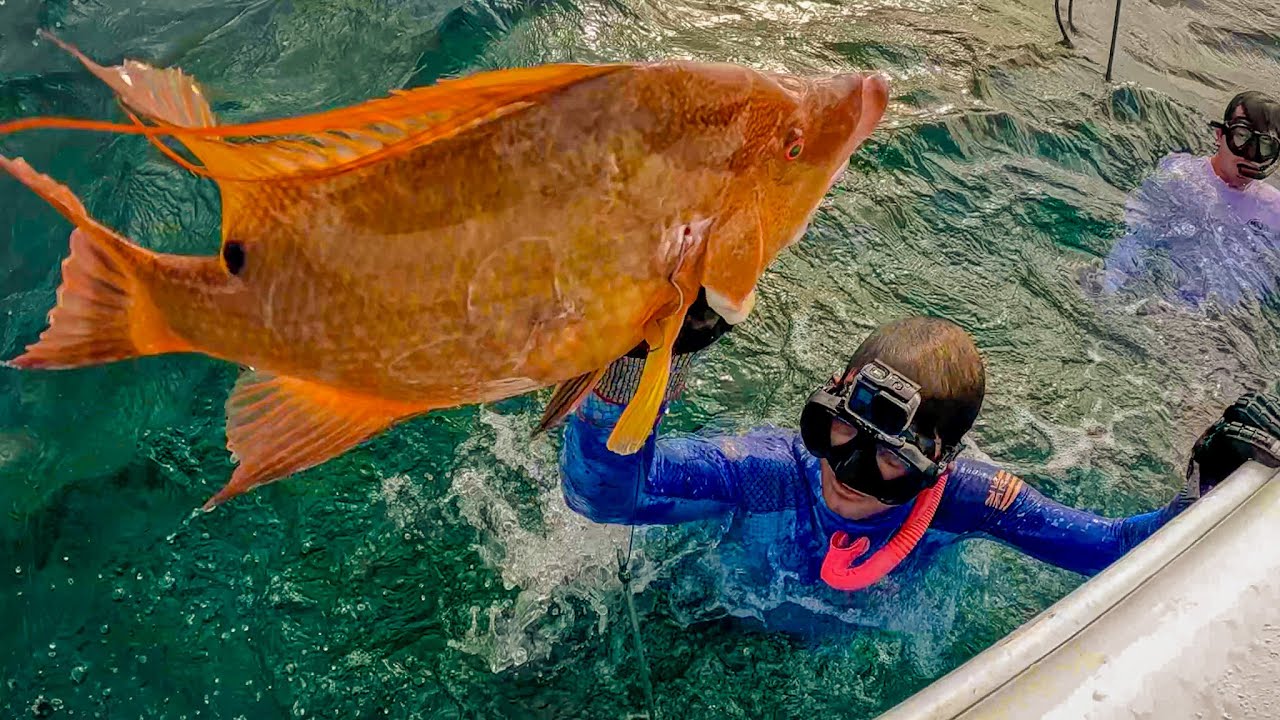 The Hunt for Hogzilla: Monster Spearfishing Dive