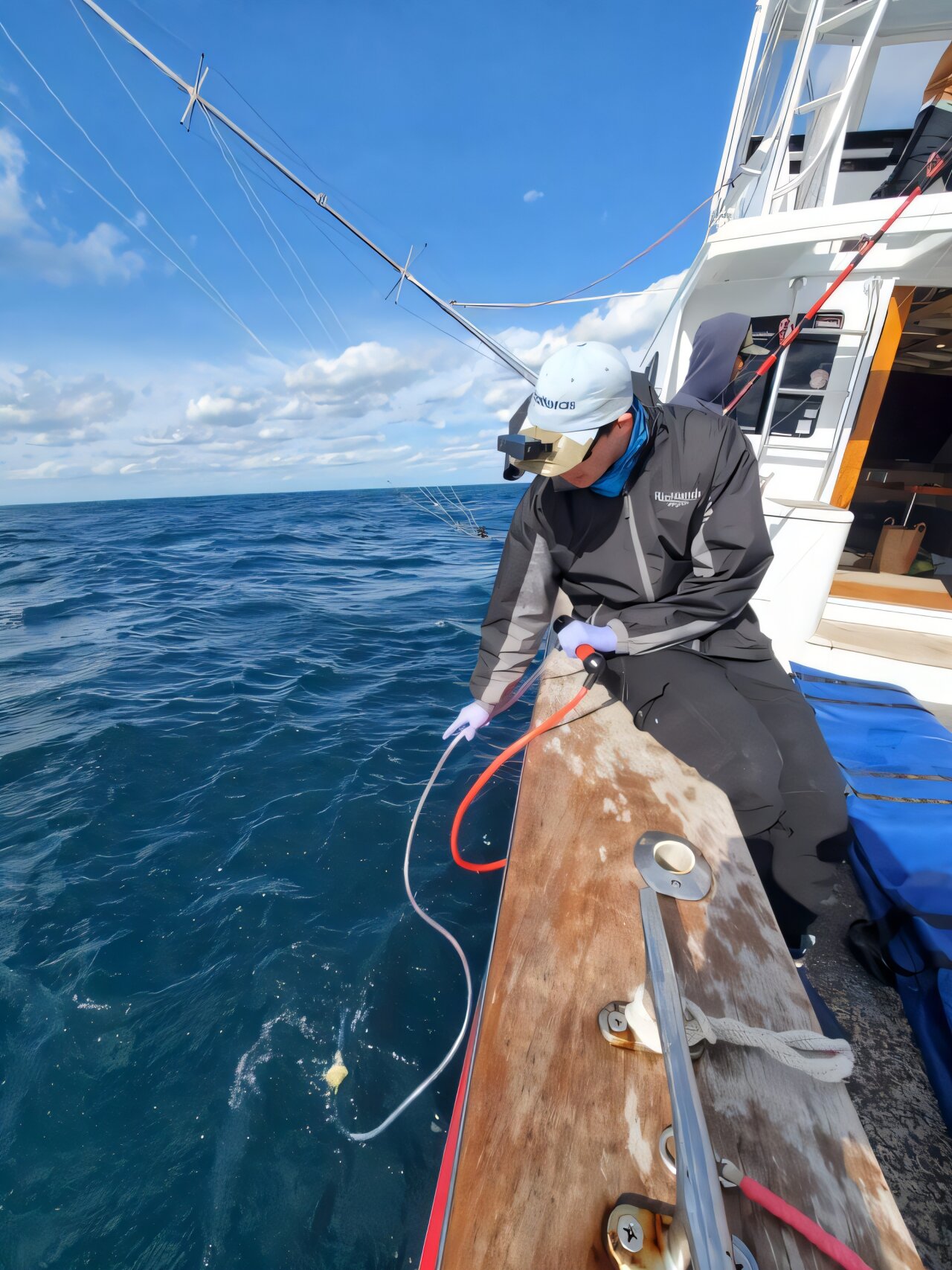 eDNA testing in the Mediterranean Sea detects reclusive shark
