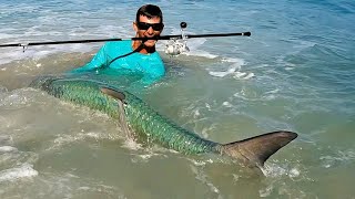 Huge Tarpon Hooked from the Beach!