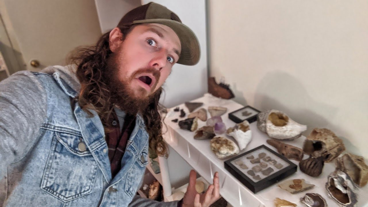 My Collection of Fossils, Crystals, Bottles, Relics & More