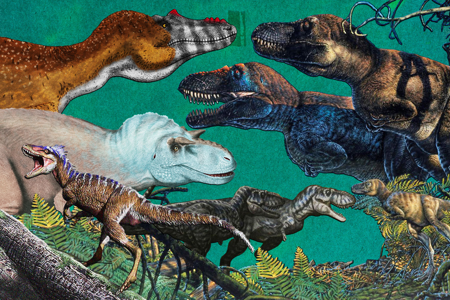 Meet Ten Tyrannosaurs That Came Before T. Rex, From Small, Feathery ...