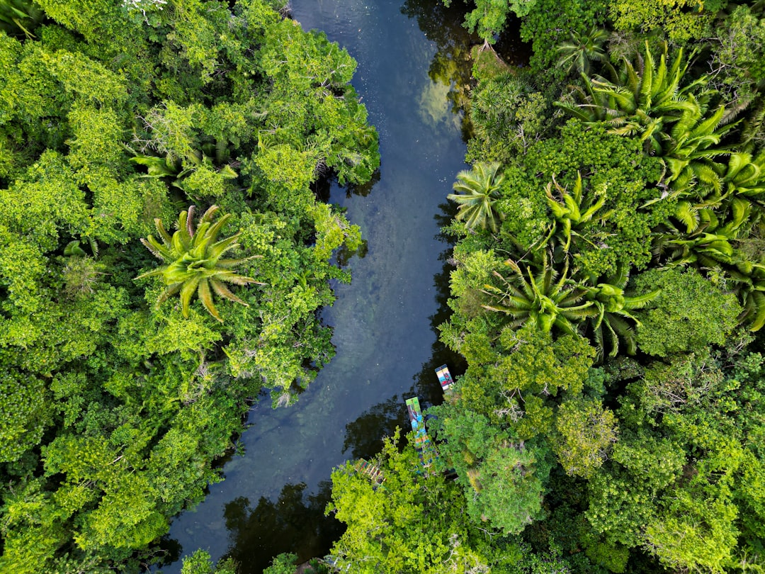 Interesting Facts About the Amazon River Basin