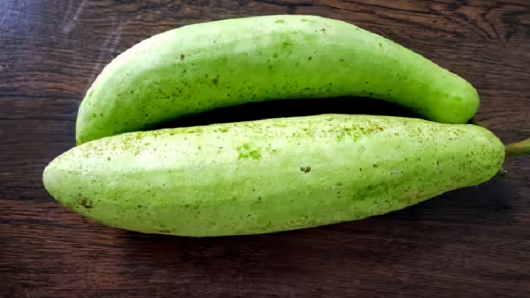 Chopped gourd will not spoil for 15 days, Shipra Rai told The right way ...