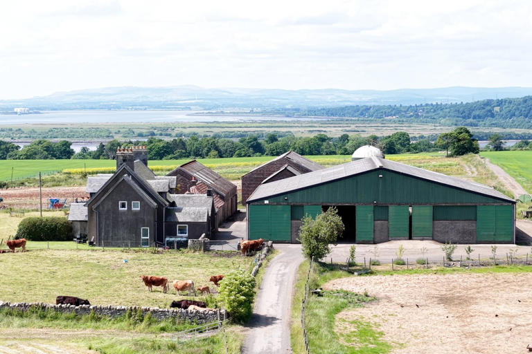 'Attractive’ mixed arable and livestock farm with over 150 acres of ...