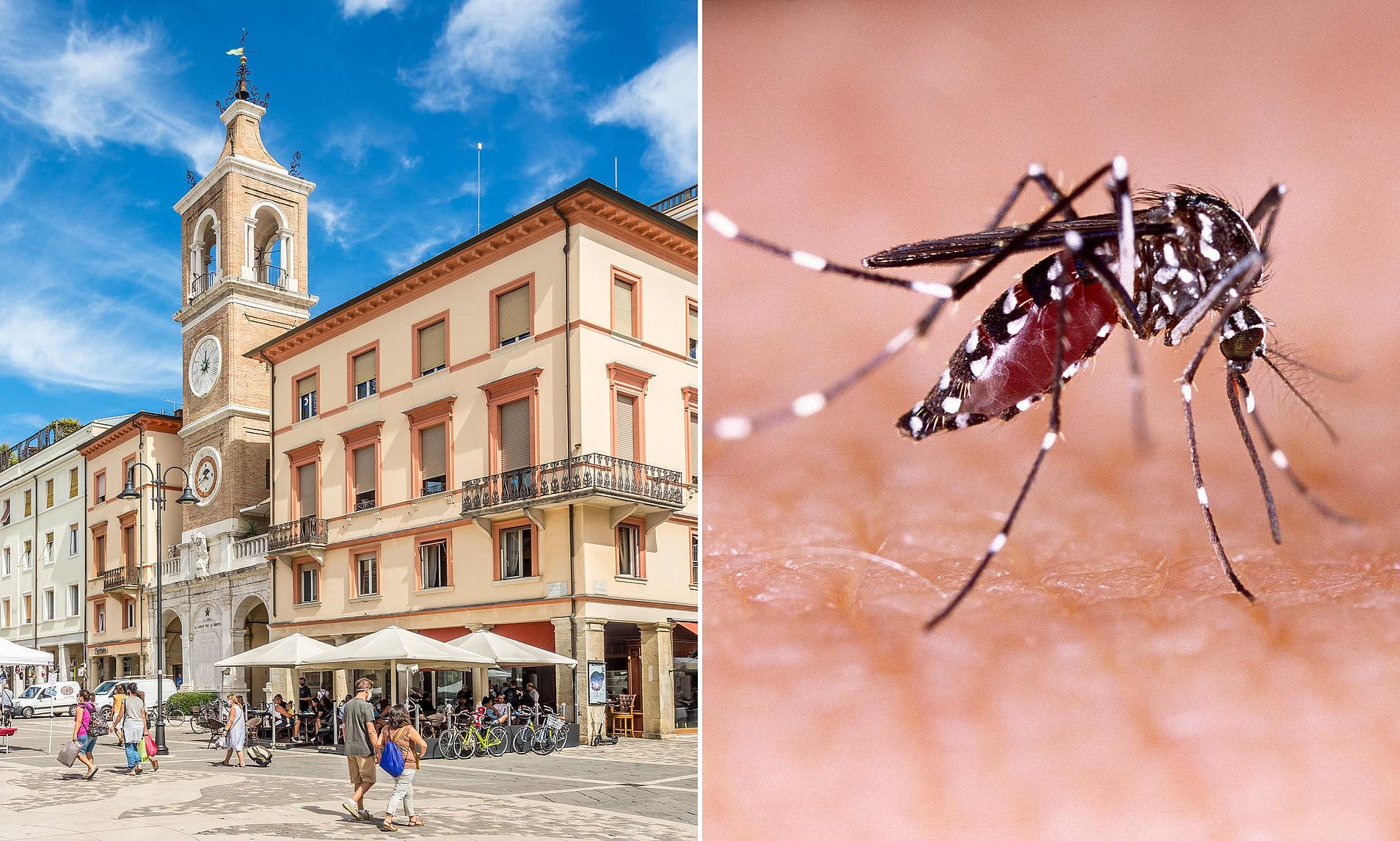'Danger to life' warning issued as two deadly diseases detected at ...