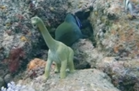Toy Dinosaur Takes the Plunge in Ocean Adventure