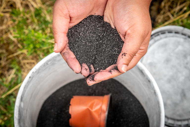 Why Gardeners Swear by Biochar — And How You Can Make Your Own