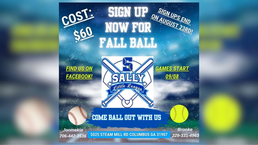 Sally Little League opens registration for fall ball