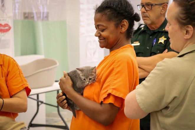 'Sense of purpose': Flagler County jail inmates foster homeless kittens