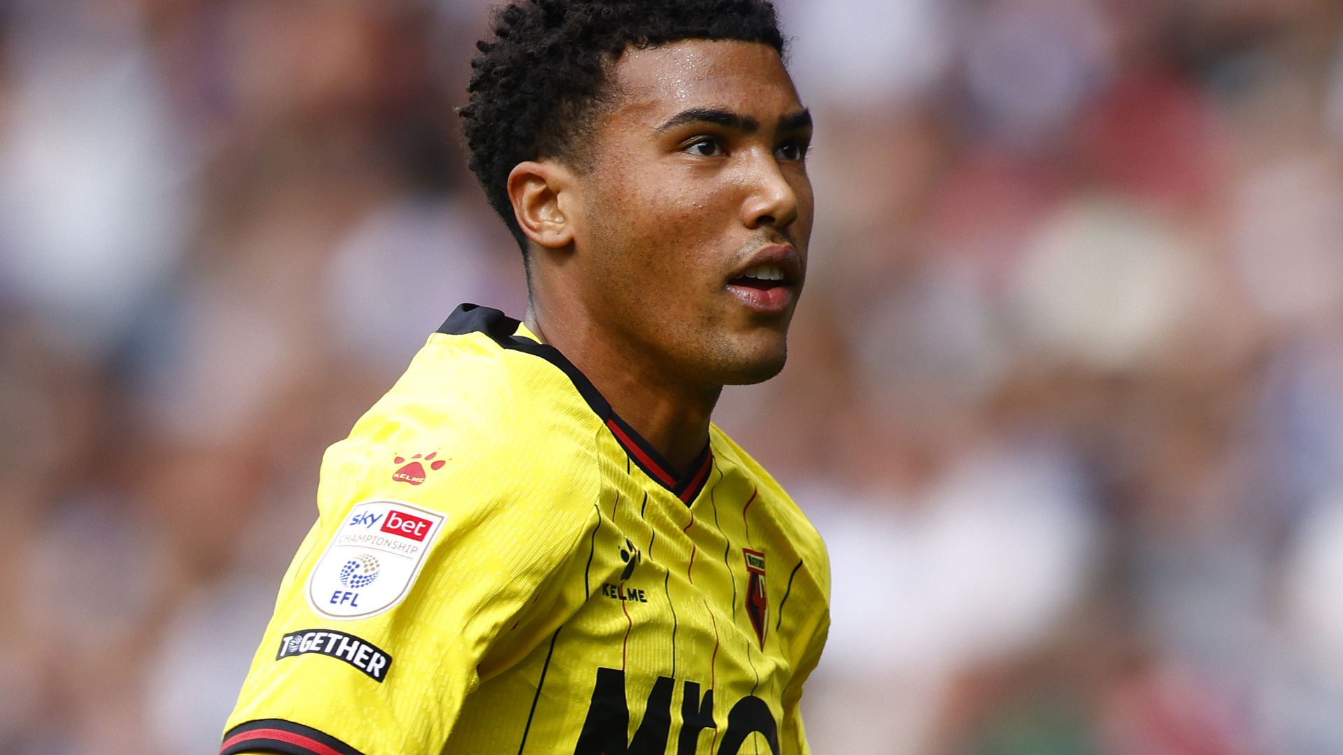 Official: Watford sign Caleb Wiley on loan from Chelsea