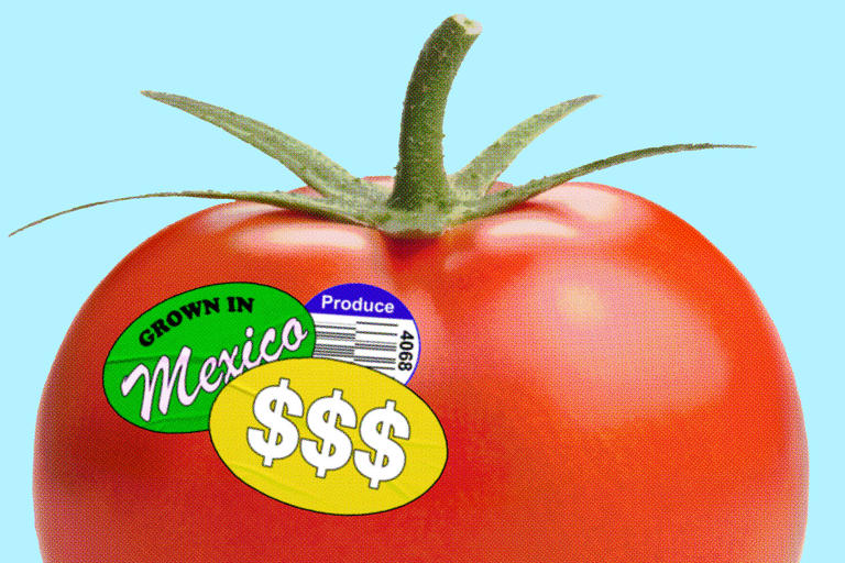 Greenhouse growers take aim at U.S. 'tomato tax' on Mexican imports