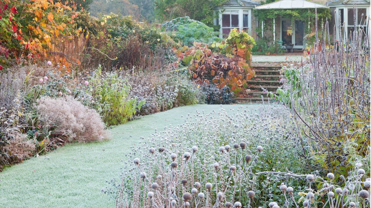 Plastic frost covers can be harmful to your yard - here are 6 non-toxic ...