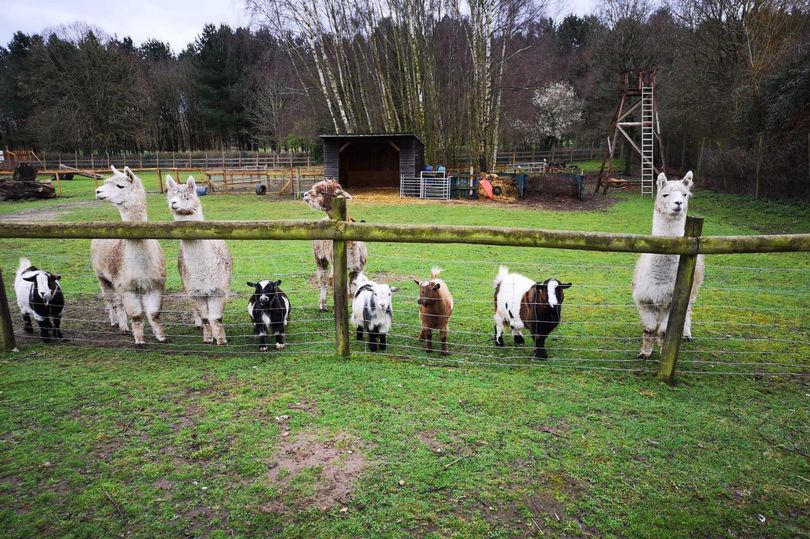 Animal-lovers urged to 'visit while you can' as beloved family run ...