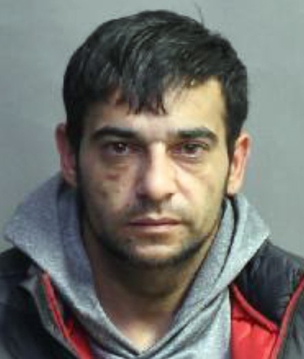 CRIME SCENE: Man sought in Toronto dog attack arrested